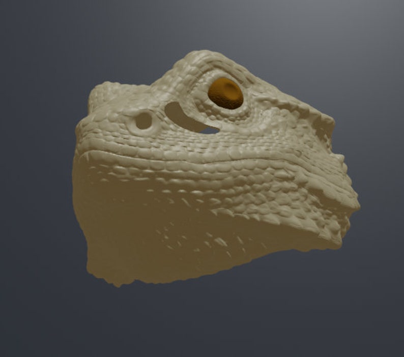 Bearded Dragon V2 Mask .STL Files for 3D Printing - Etsy