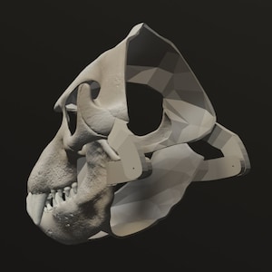Elephant Seal Skull Mask .STL Files for 3D Printing - Etsy