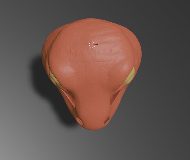 Newt Mask .STL Files for 3D Printing - Etsy