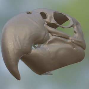 Macaw Skull Mask .STL Files for 3D Printing. - Etsy