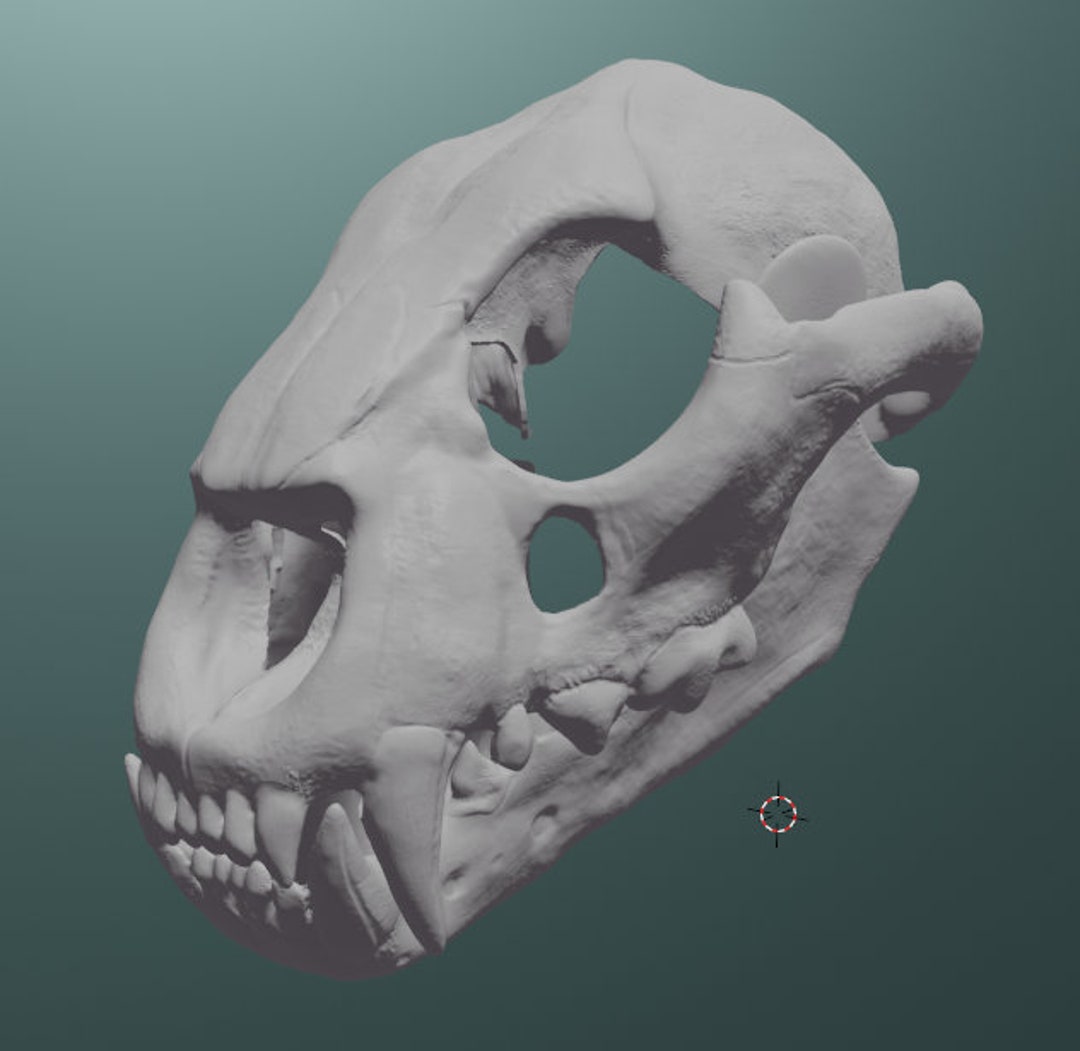 Big Cat Skull Mask V2 .STL Files for 3D Printing - Etsy