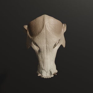 Entelodont Skull Mask .STL Files for 3D Printing - Etsy