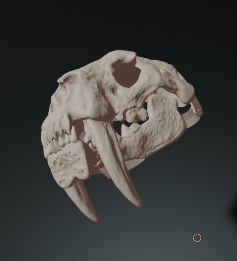 Smilodon Skull V2 Mask .stl Files for 3D Printing - Etsy