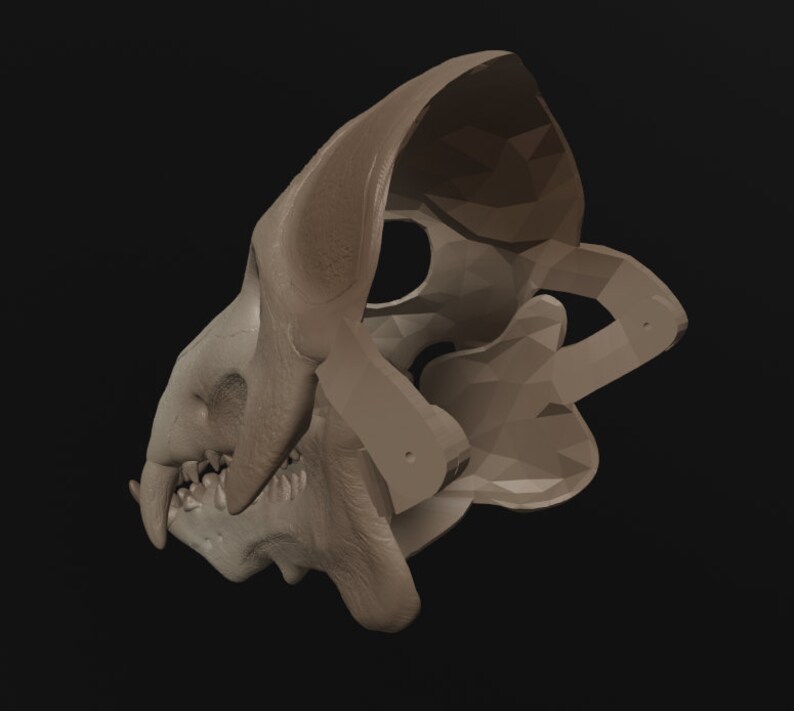 Entelodont Skull Mask .STL Files for 3D Printing - Etsy