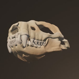 Brown Bat Skull Mask .STL Files for 3D Printing - Etsy