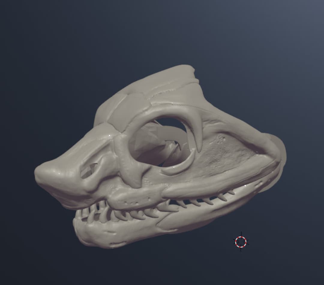 Hognose Skull Mask .STL Files for 3D Printing - Etsy