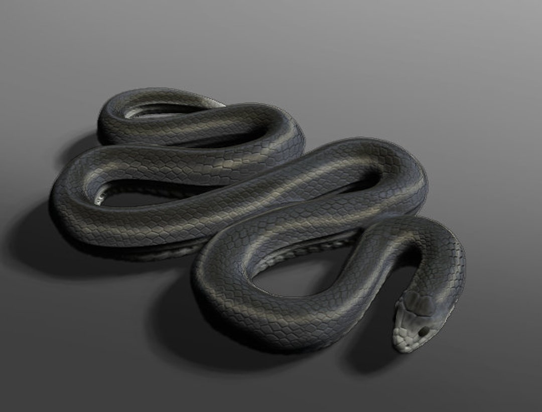 Garter Snake Figurine STL File for 3D Printing - Etsy