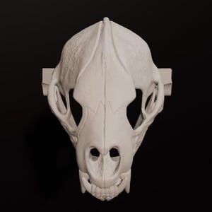 Skunk Skull Mask .STL Files for 3D Printing - Etsy Australia
