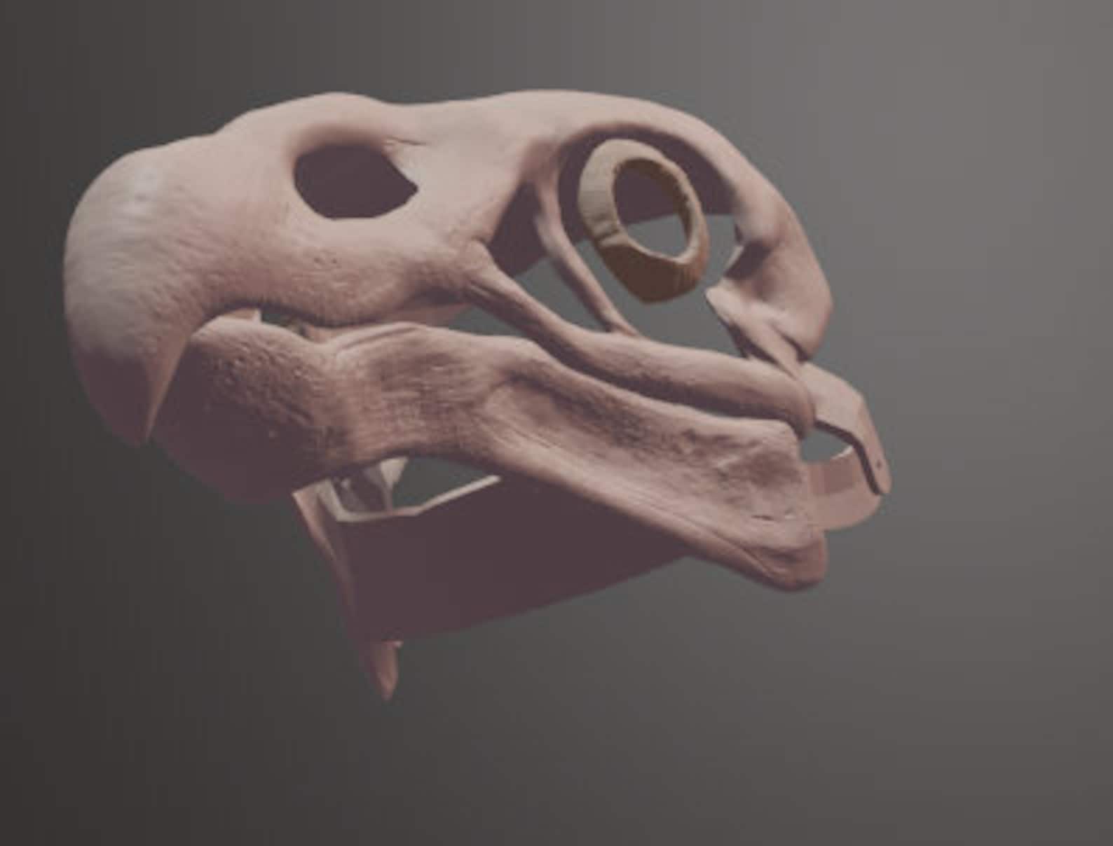 Condor Skull Mask .STL Files for 3D Printing - Etsy