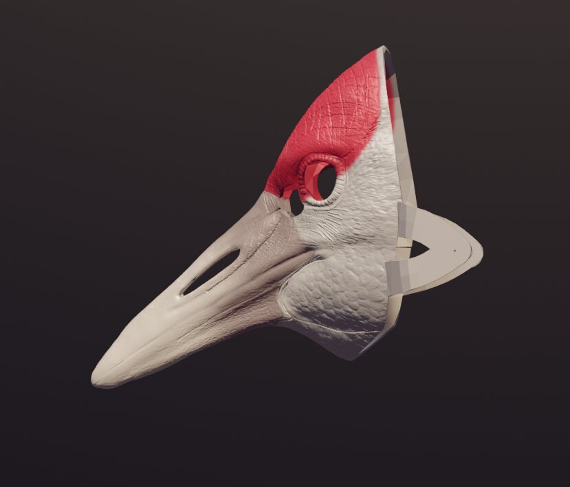 Sandhill Crane Mask .STL Files for 3D Printing - Etsy