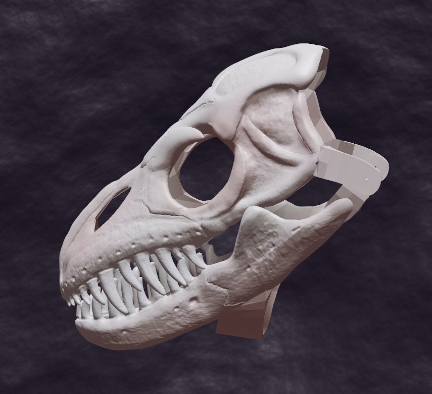 Crocodile Monitor Skull Mask .STL Files for 3D Printing - Etsy