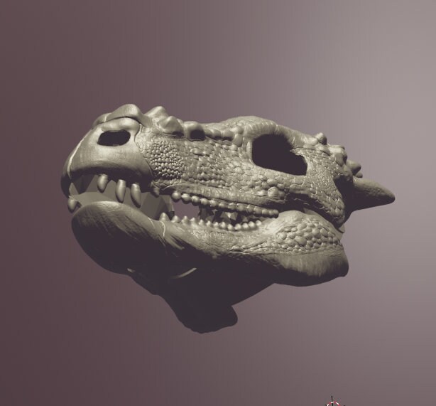 Pachycephalosaur Skull Mask .STL Files for 3D Printing | Etsy