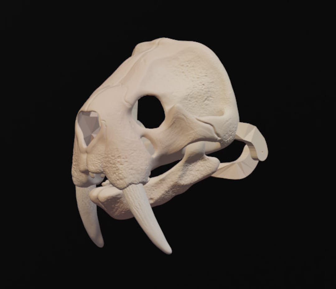 Walrus Skull Mask .STL Files for 3D Printing - Etsy