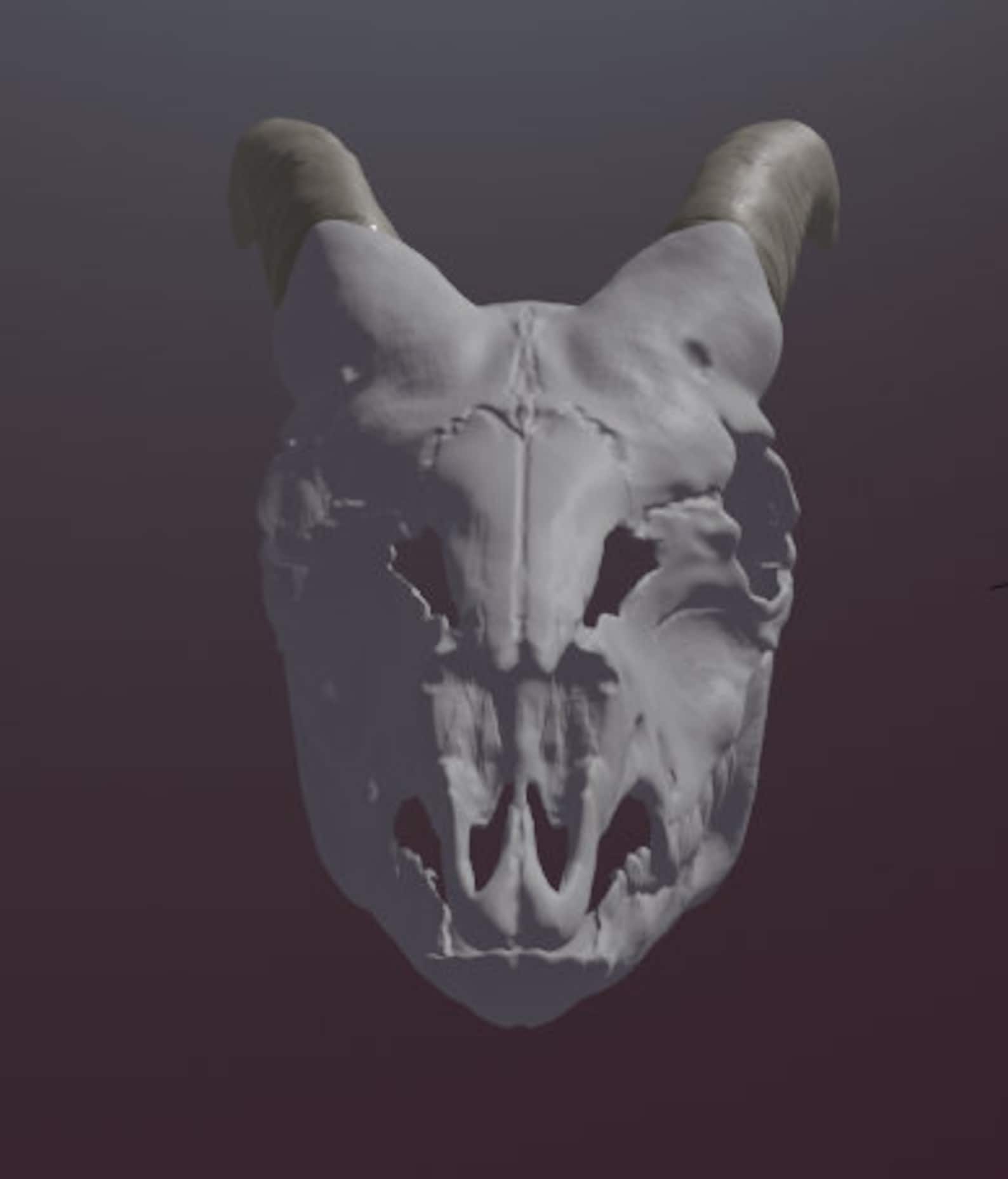 Goat Skull Mask .stl Files for 3D Printing | Etsy