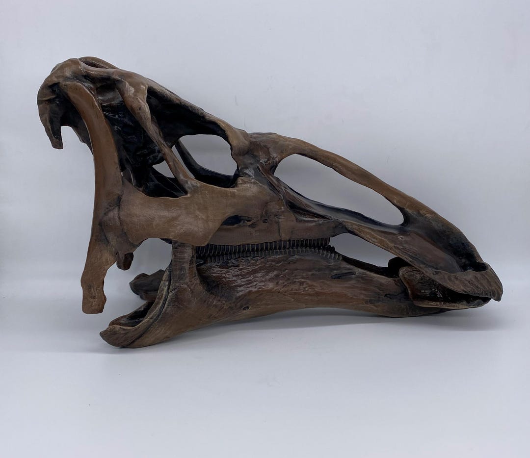 Physical 3D Printed 1:1 Scale Replica Edmontosaurus Skull - Etsy