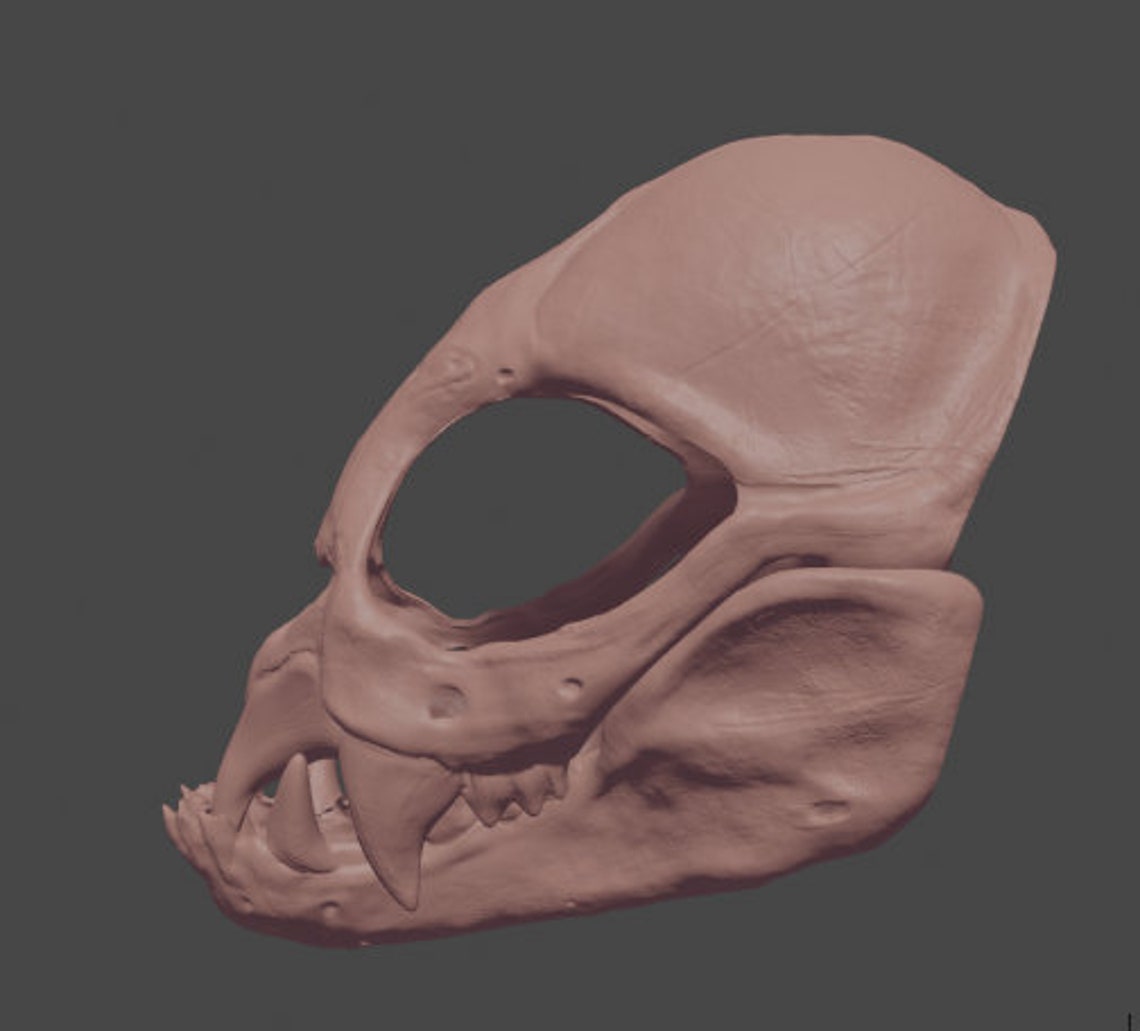 Vampire Bat Skull Mask .STL Files for 3D Printing | Etsy