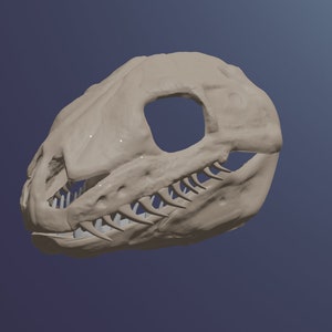 Ball Python Skull Mask .STL Files - Etsy