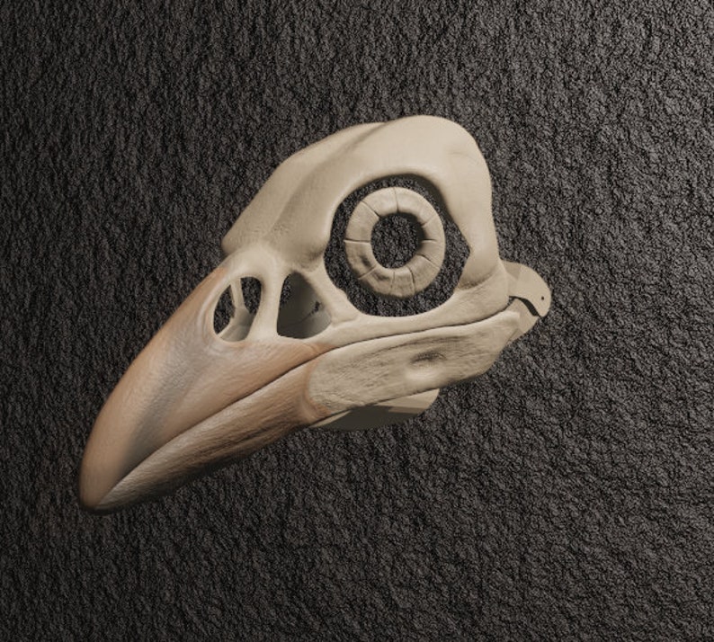 Crow Skull Mask .STL Files for 3D Printing - Etsy