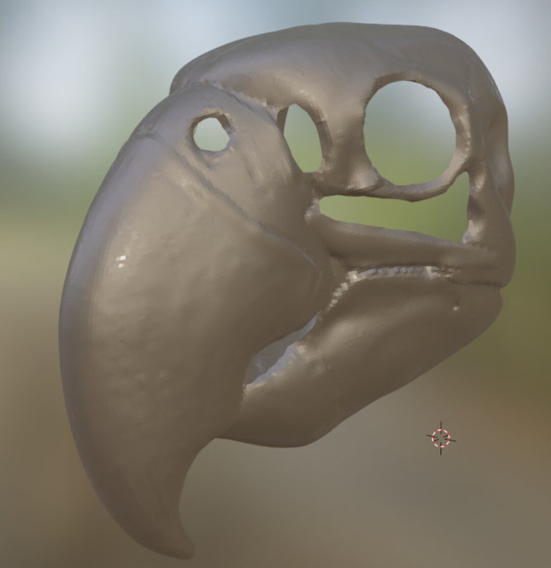 Macaw Skull Mask .STL Files for 3D Printing. - Etsy
