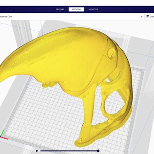 Macaw Skull Mask .STL Files for 3D Printing. - Etsy