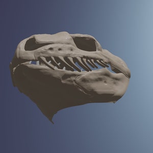 Ball Python Skull Mask Stl Files Etsy