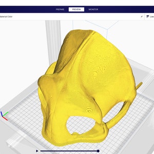 Small Cat Skull Mask V2 .STL Files - Etsy