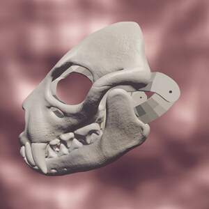 Mink Skull Mask .STL Files for 3D Printing - Etsy