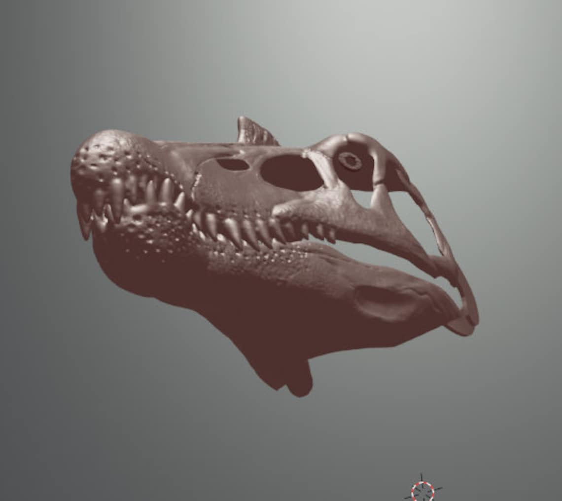 Spinosaurus Skull Mask .STL Files for 3D Printing | Etsy Canada