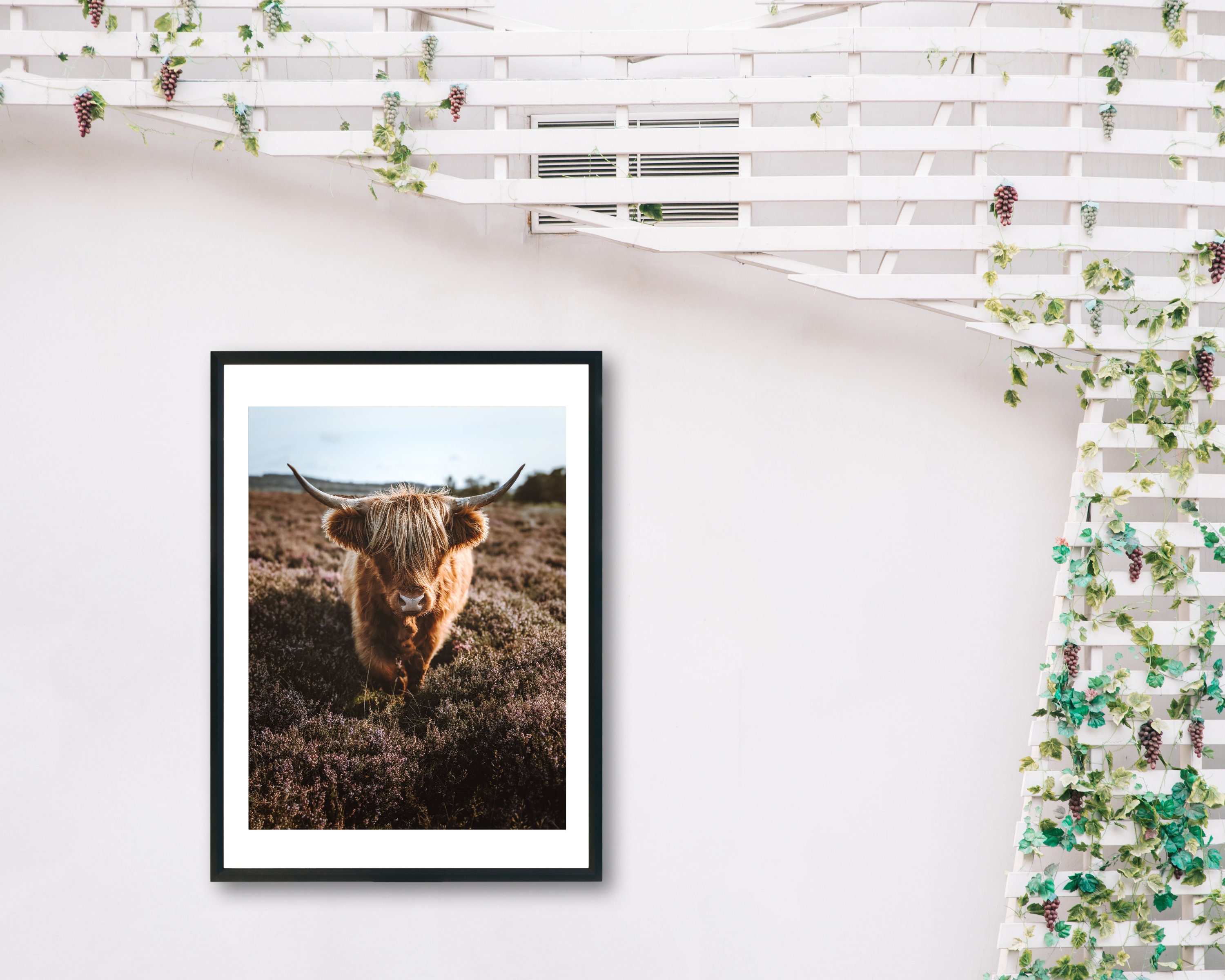 Highland Cow Print Scottish Highlands Scotland Landscape - Etsy UK