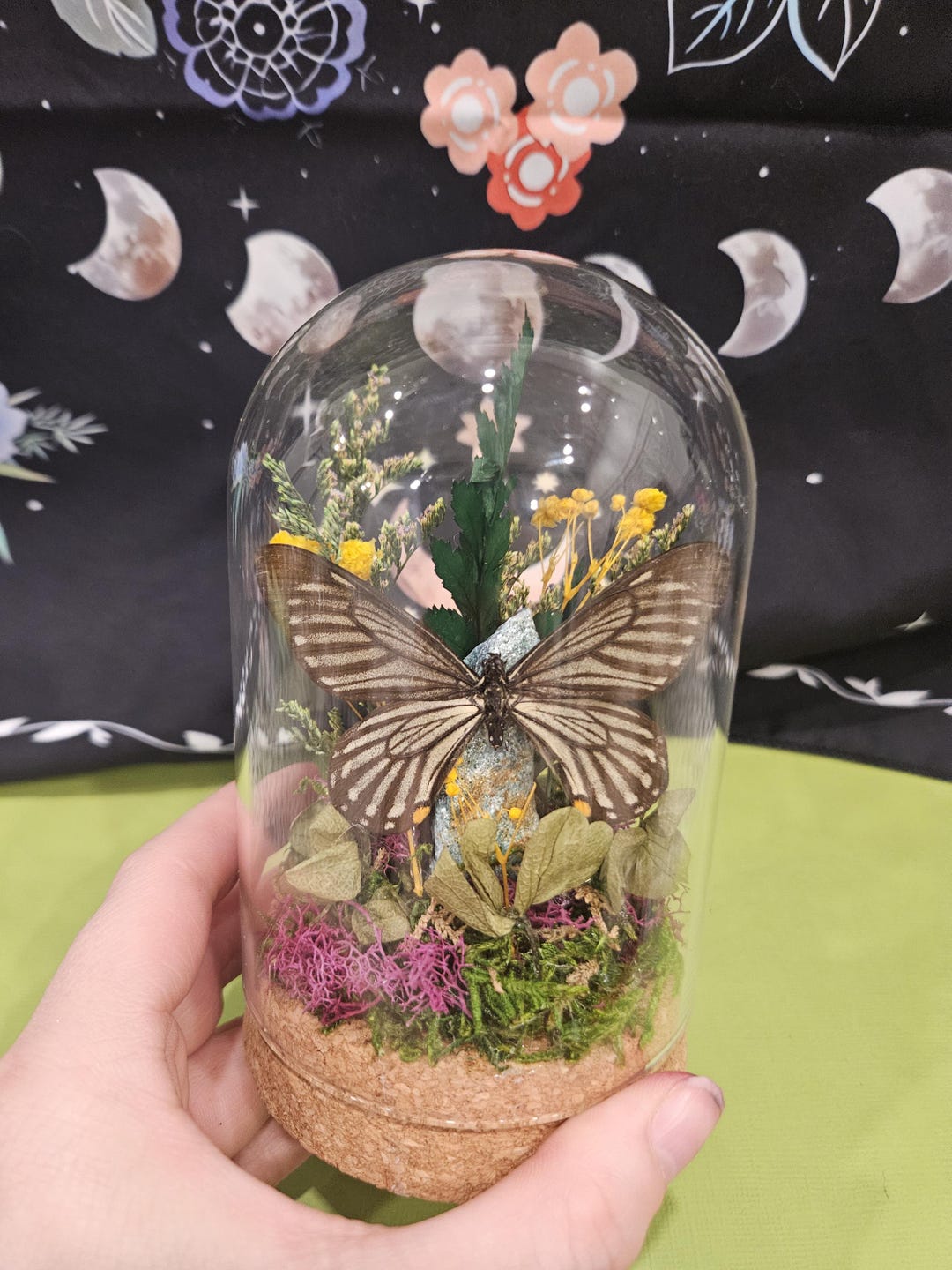 Dome Butterfly Terrarium Brown Butterfly Specimen With Blue Crystal ...