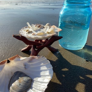 Full Moon and Fire Bowl Ceremony Ritual Kit. Soy Shell Candle - Etsy