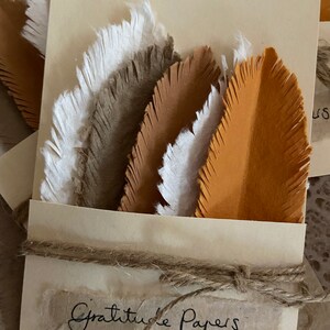 Gratitude, Thanksgiving, Harvest Papers in Feather Design for Family ...
