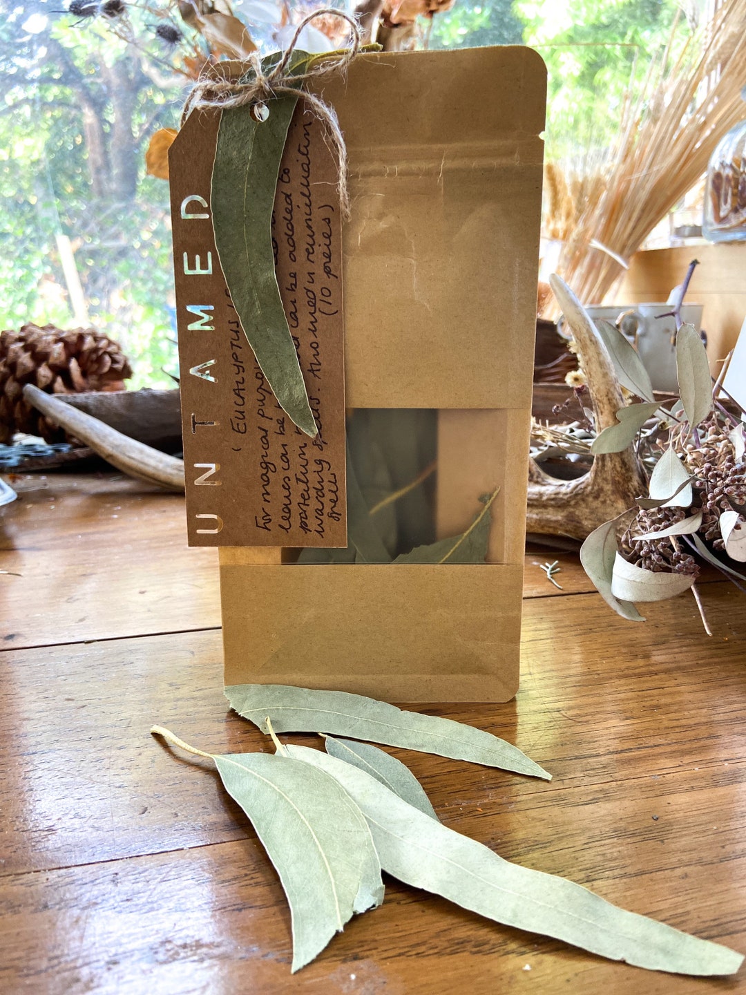 Eucalyptus Leaves. Organic Dried for Magical Practice. Spells ...