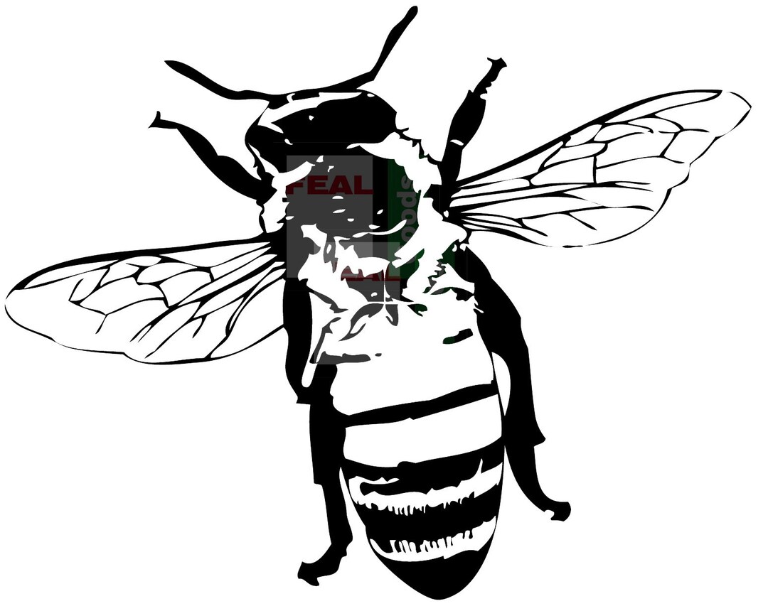 Bee_ Flying Svg, Png, Tiff & Jpeg - Etsy