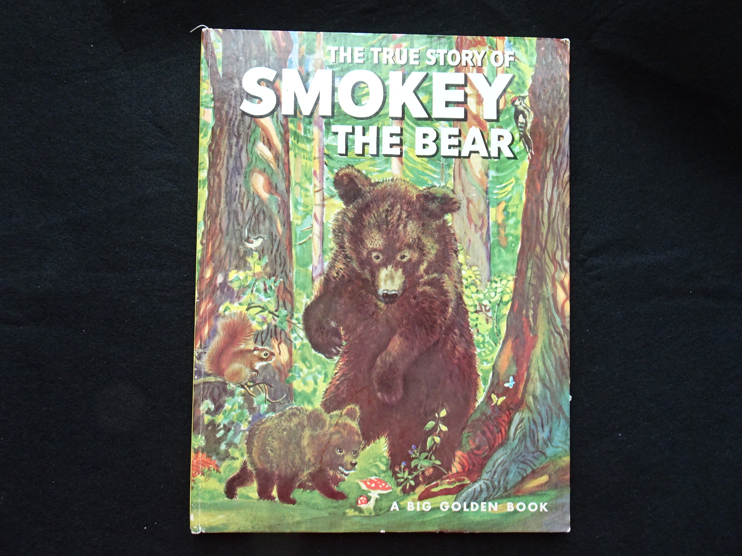 The True Story of Smokey the Bear- Big Golden Book From 1974! - Etsy