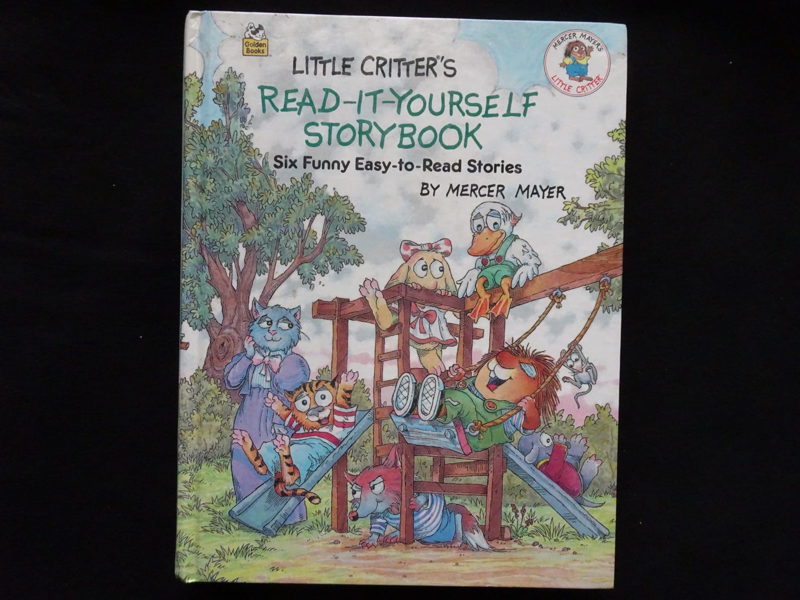 Little Critter's Read-it-yourself Storybook! - Etsy