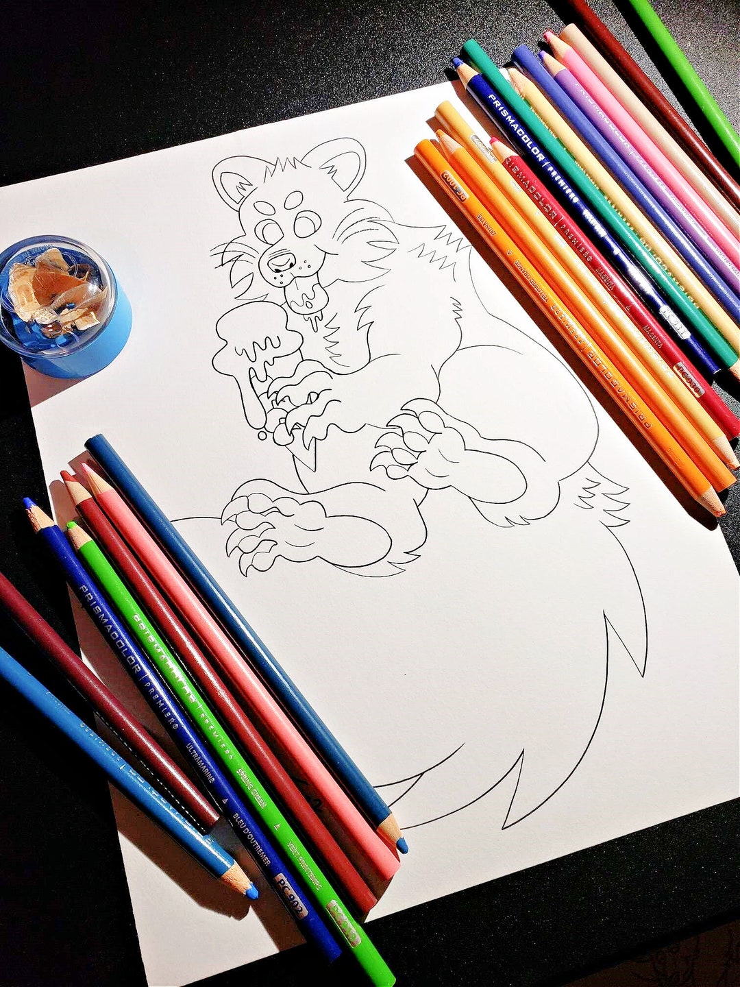 Ice Cream Raccoon Coloring Sheet Kids and Adult Activity Animal Party ...