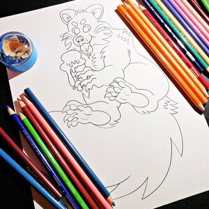 Ice Cream Raccoon Coloring Sheet Kids and Adult Activity Animal Party ...