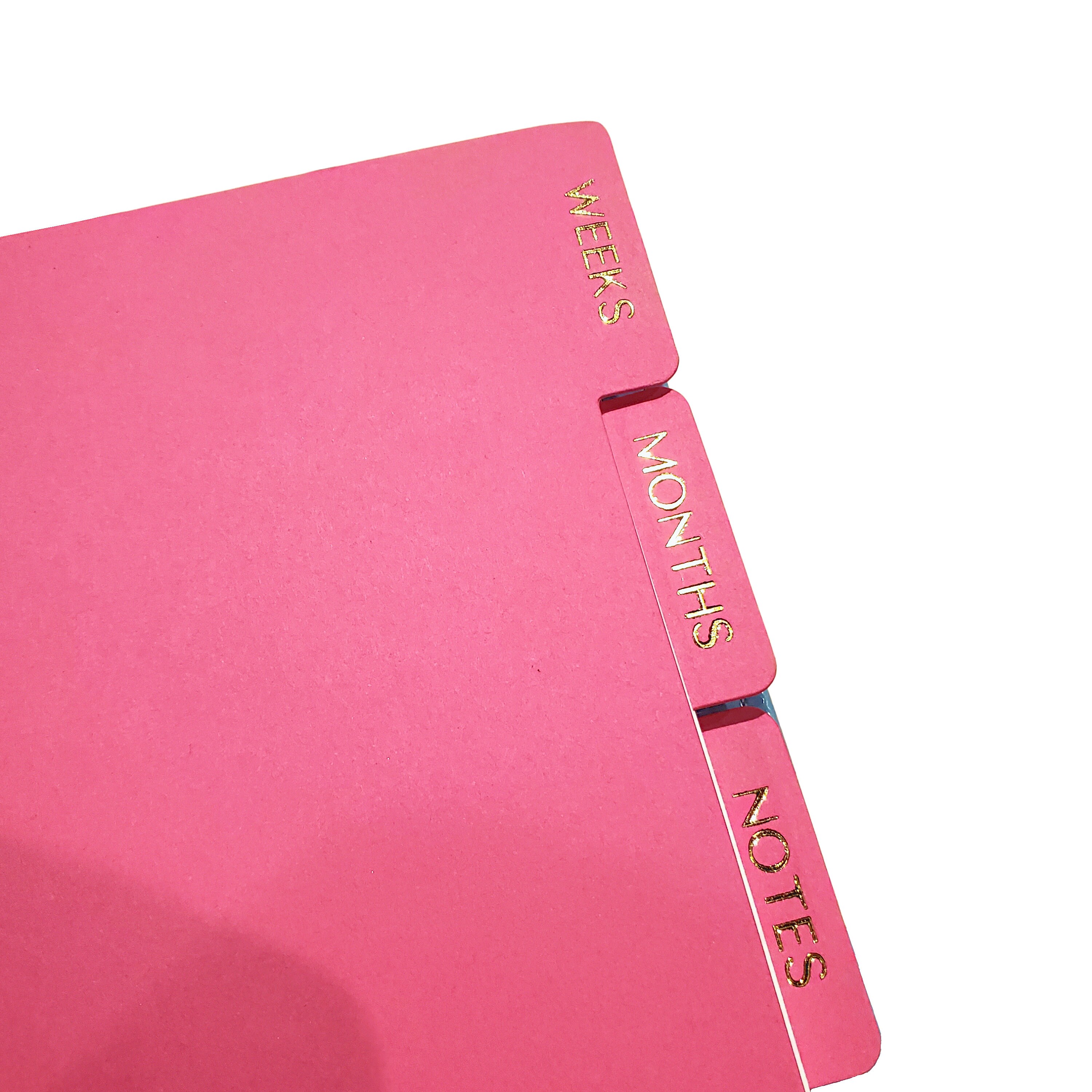 Custom Stamped Cardstock Discbound Dividers - Etsy