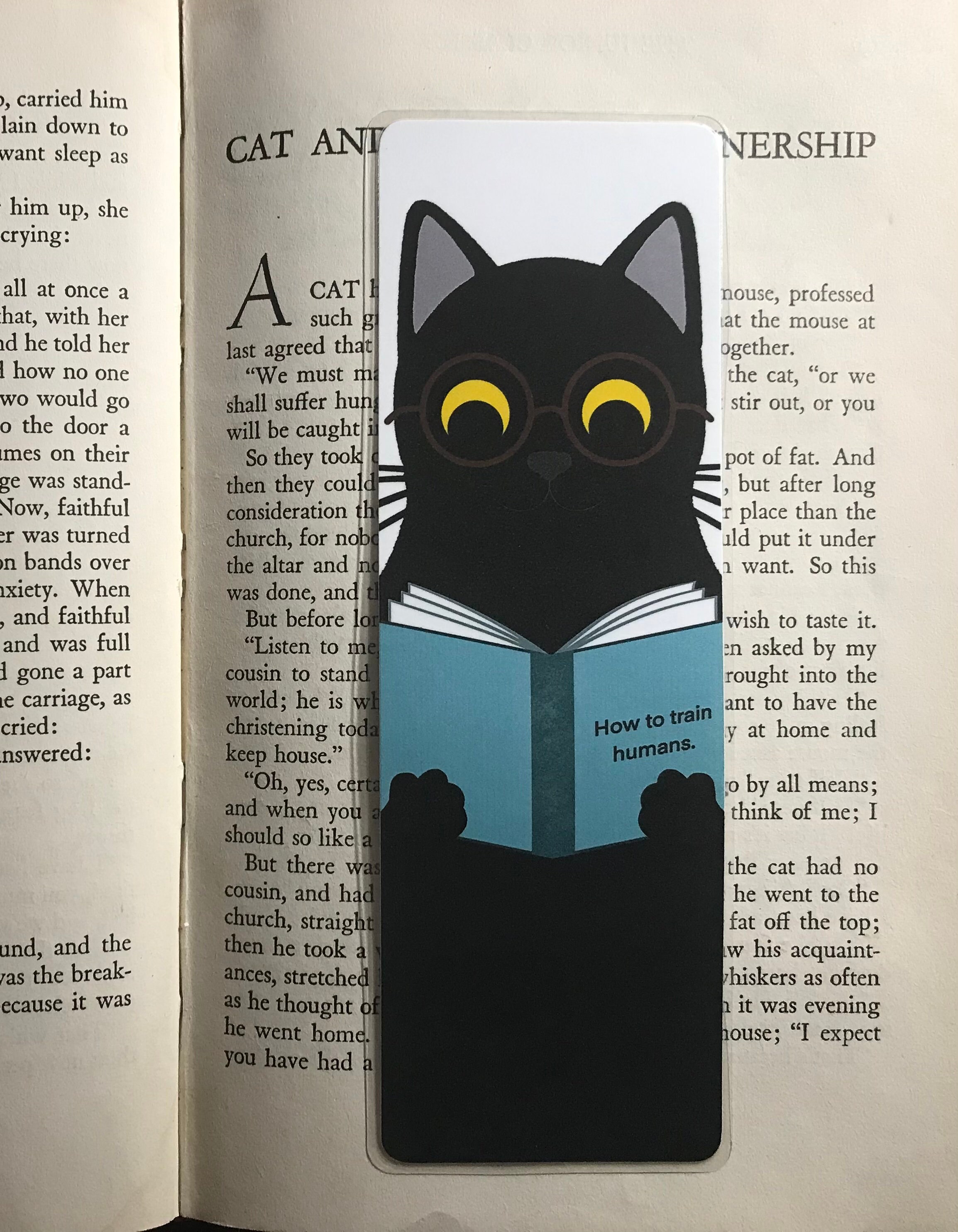 Black Cat Reading A Book