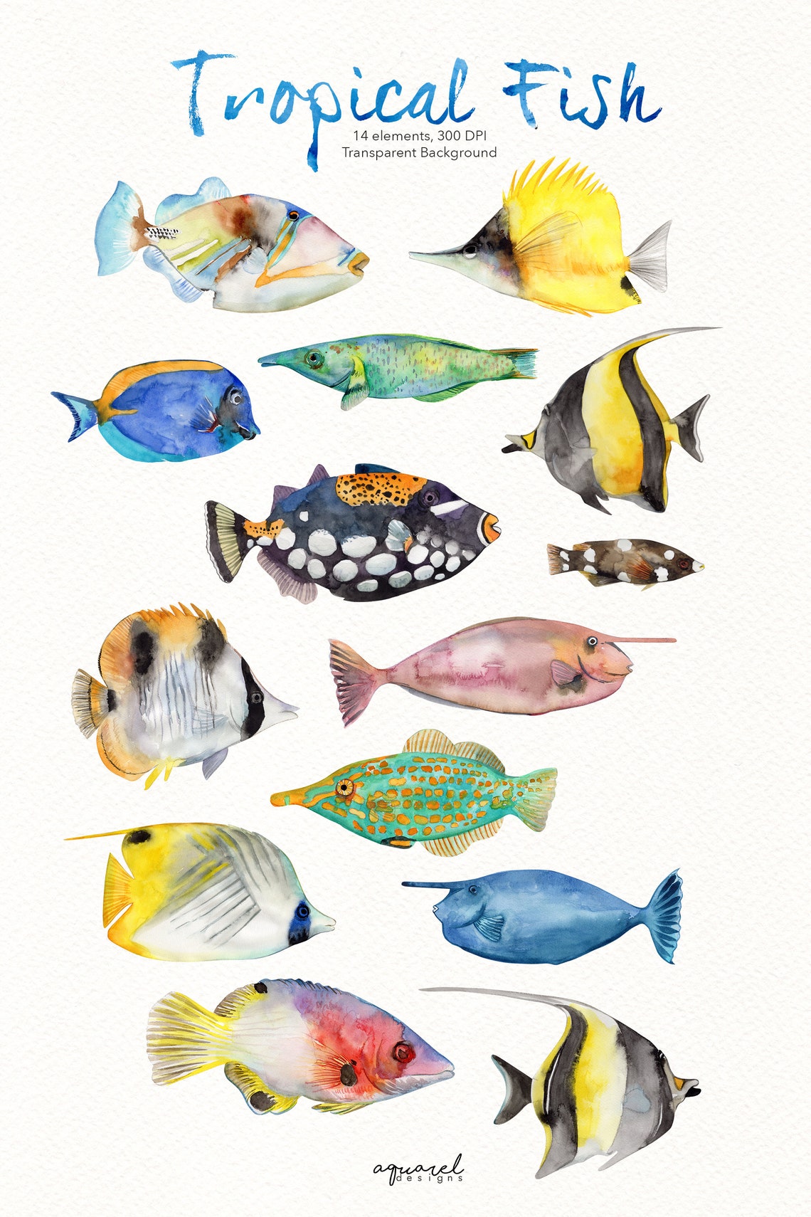 Watercolor TROPICAL FISH Clipart colorful fish clipart reef | Etsy