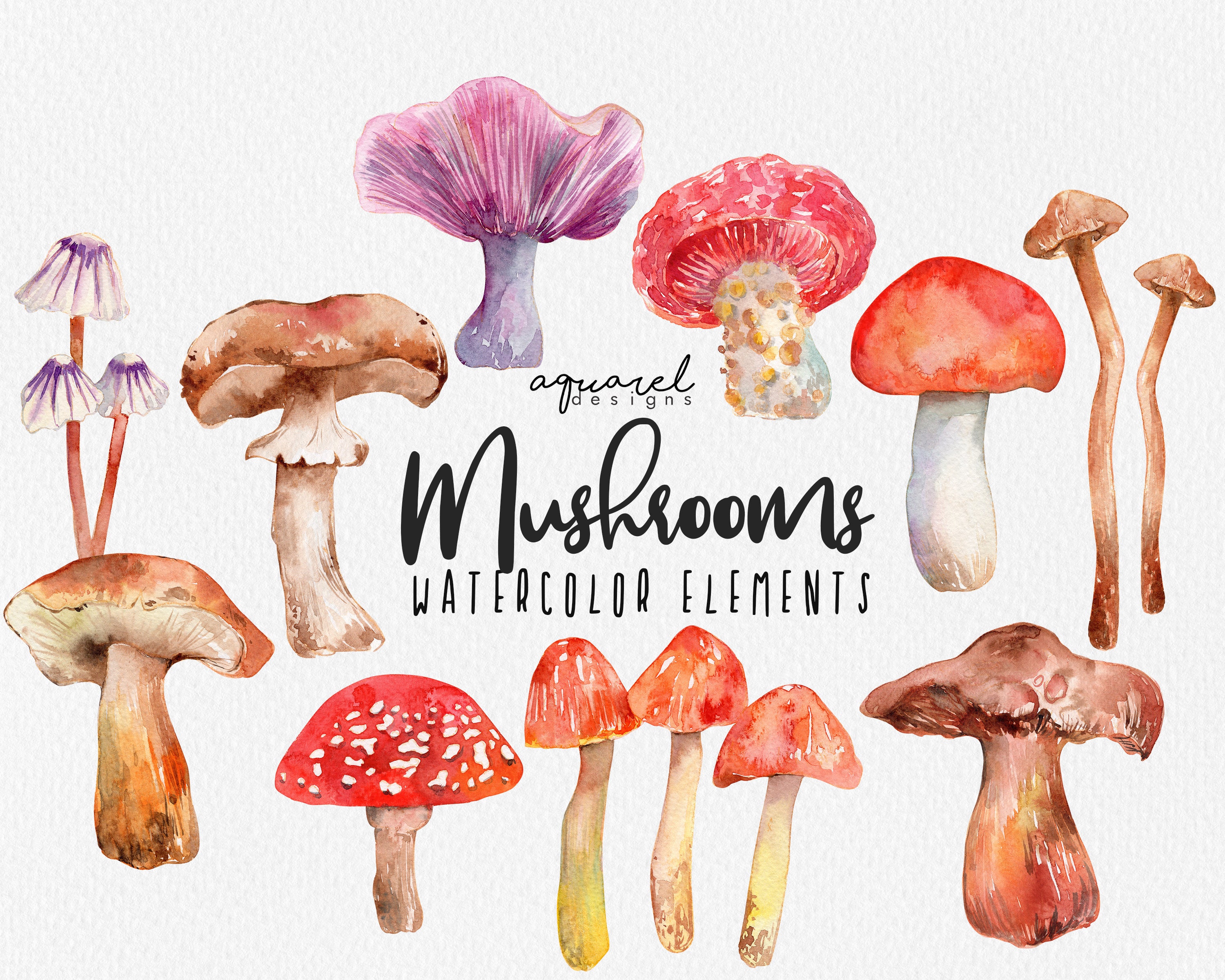 Watercolor Mushrooms. Forest Clipart, Autumn, Fairytale, Halloween ...