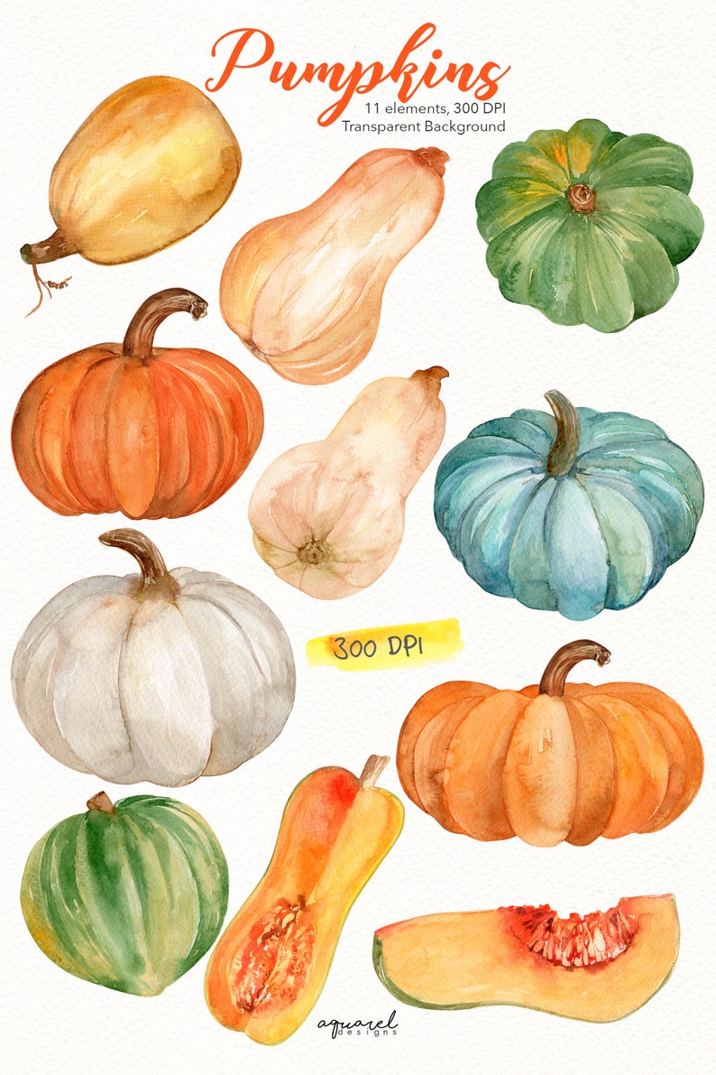 Watercolor Pumpkins Clipart Fall Clipart Fall Autumn - Etsy