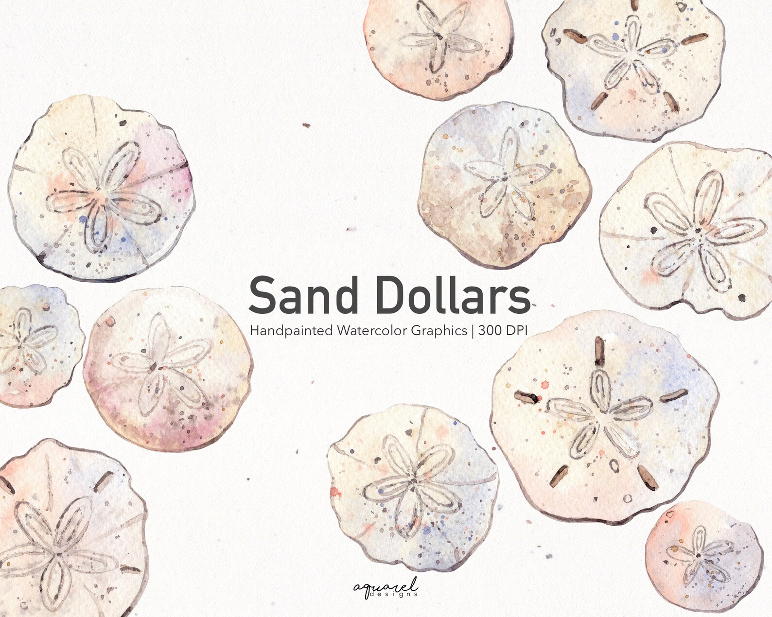 SAND DOLLARS | Watercolor Clipart, Sea Urchins, Sea Cookie, Snapper ...