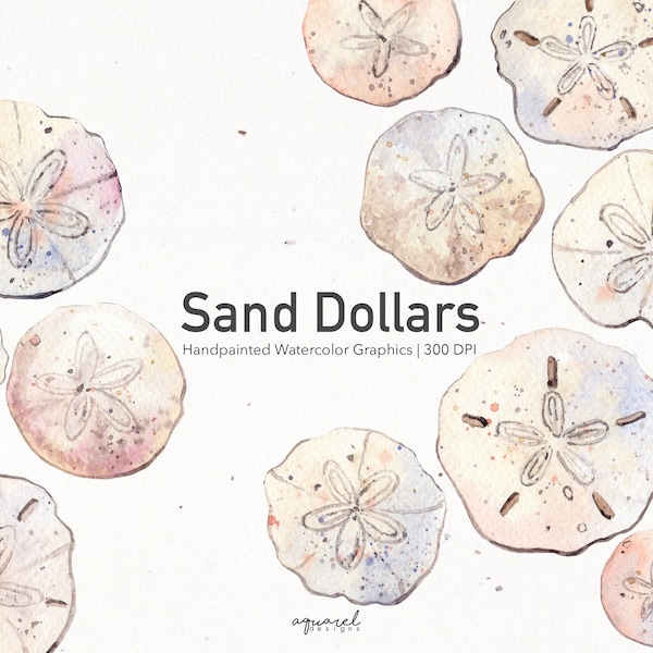 Sand Dollar Clip Art - Etsy