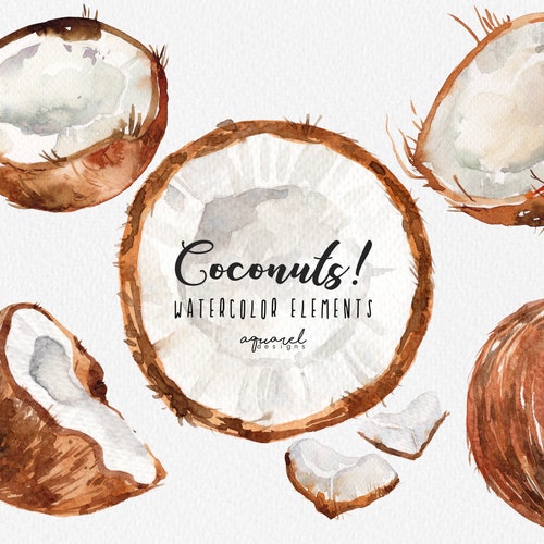 Coconut Clipart Watercolor Clipart Tropical Clipart Food - Etsy