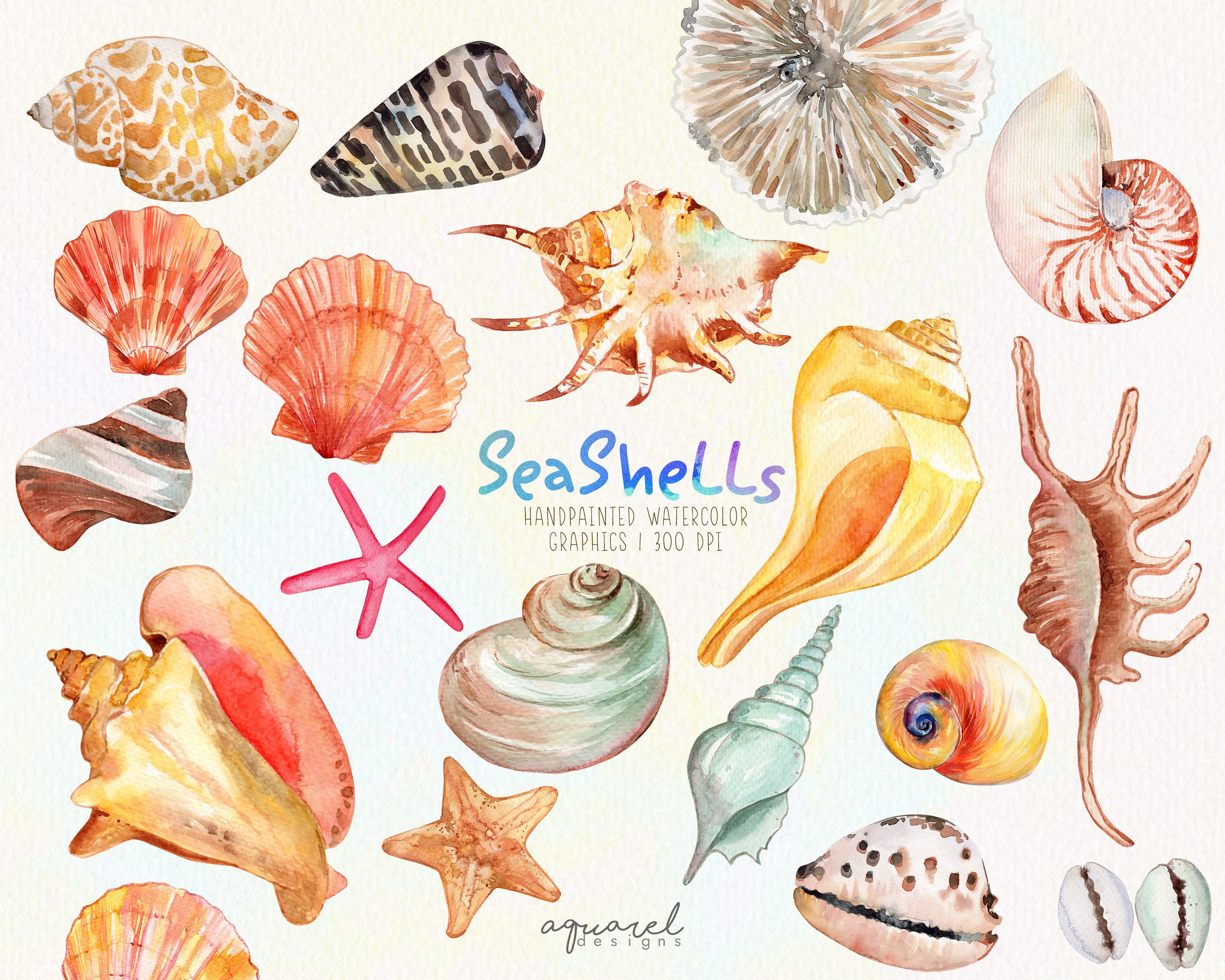 Watercolor Seashells Clipart Summer Clipart Beach Clipart - Etsy