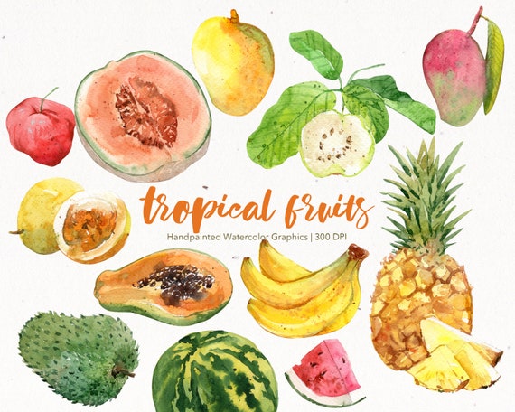 TROPICAL FRUITS Watercolor Clipart Tropical Fruits Summer | Etsy