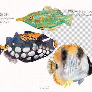 Watercolor TROPICAL FISH Clipart | Colorful Fish Clipart, Reef Fish ...