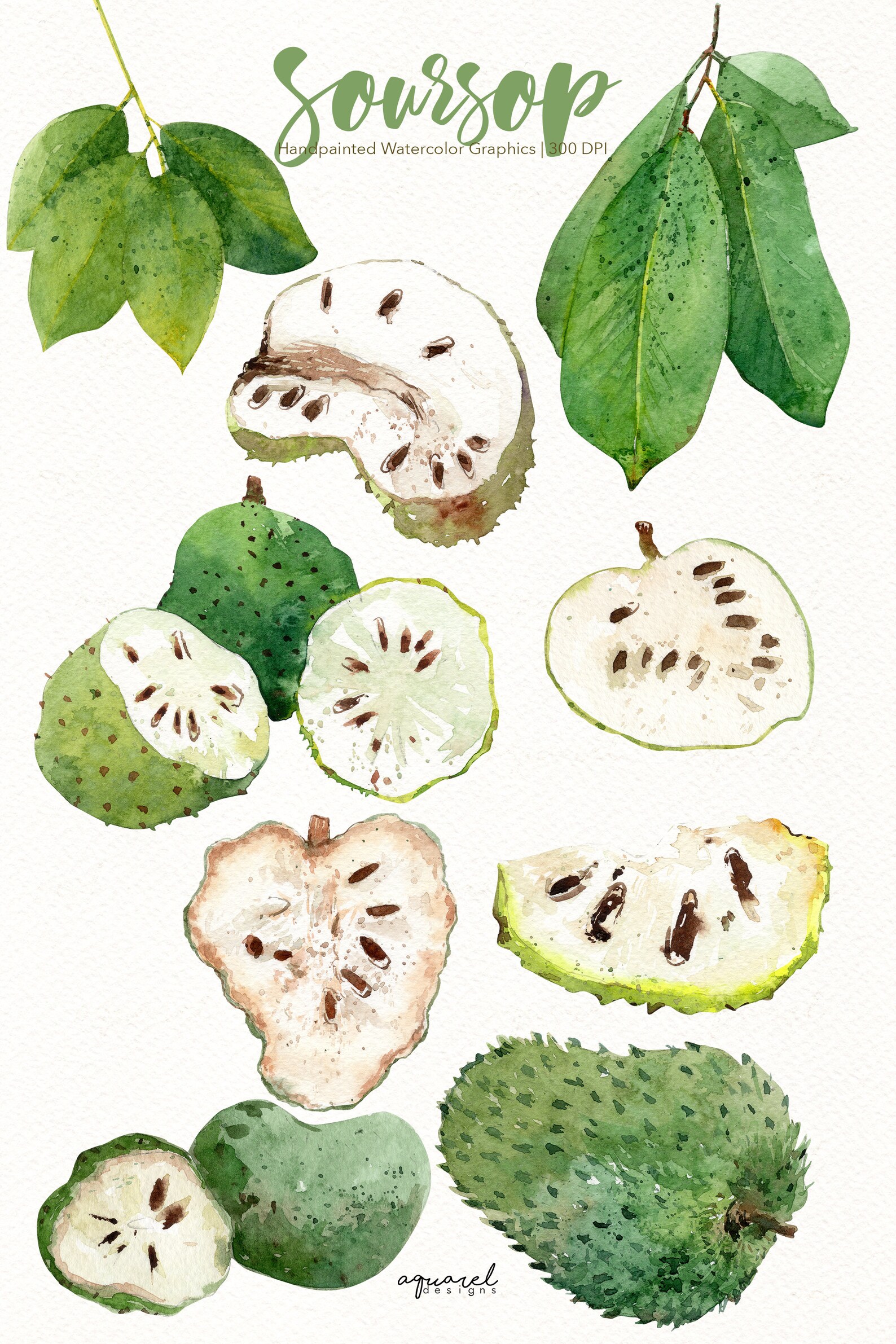 SOURSOP Watercolor Clipart, Tropical Fruits, Summer, Beach, Printable ...